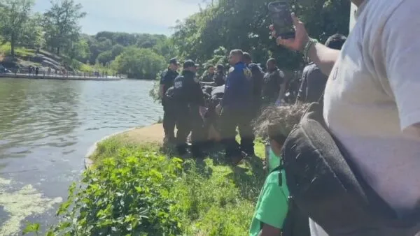 Man Jumps Into Lake to Escape NYPD During Central Park Chase: VIDEO ...